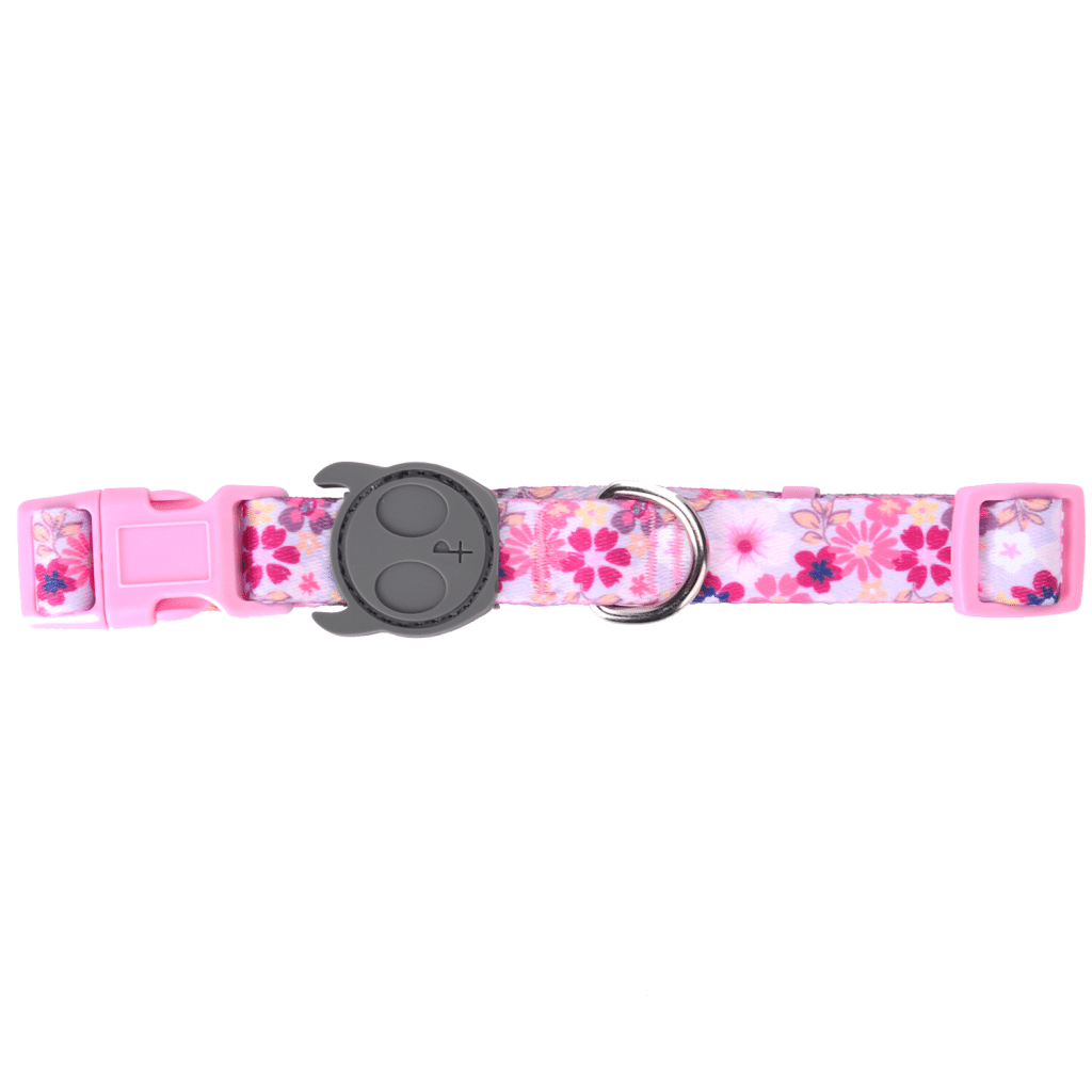Sakura | Dog Collar – PetANtastic