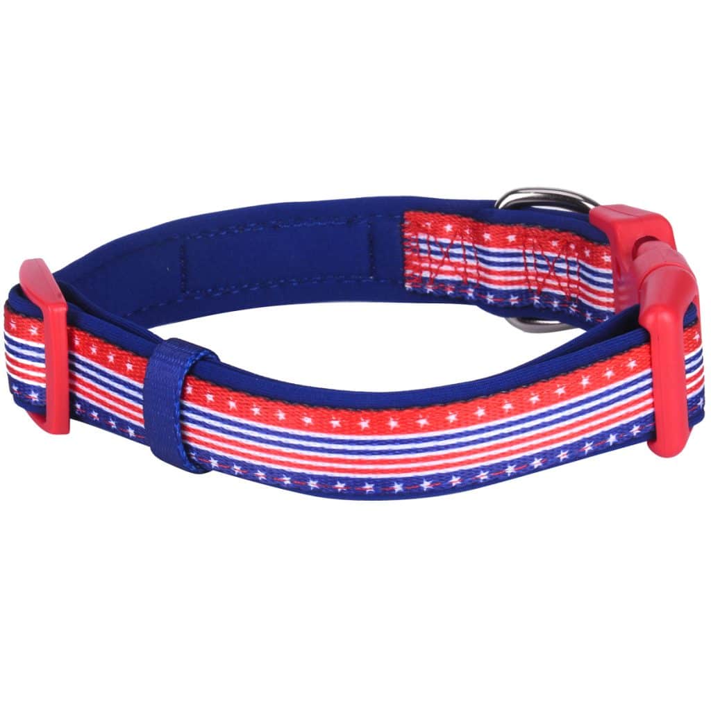 Padded Dog Collars – PetANtastic