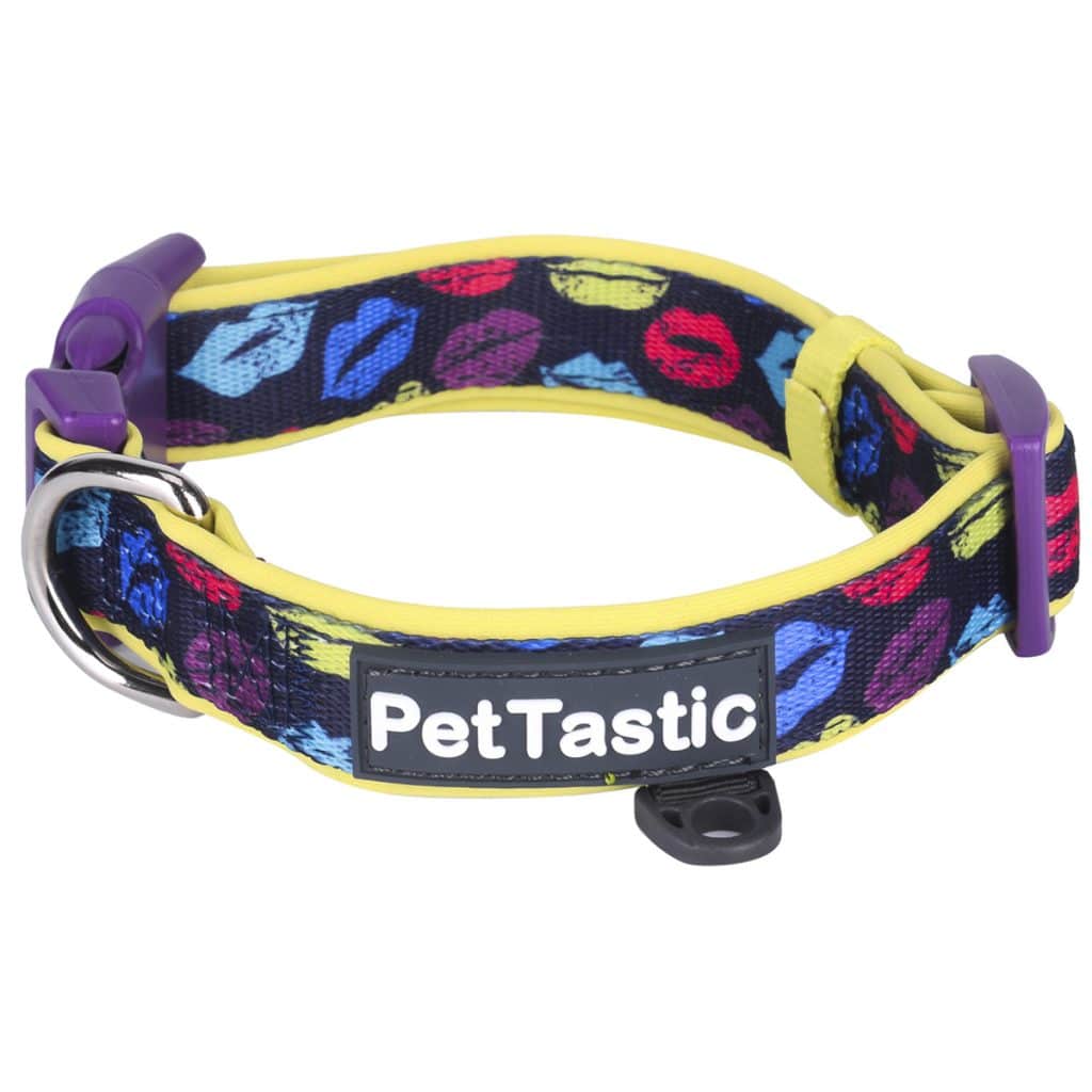 Padded Dog Collars – PetANtastic